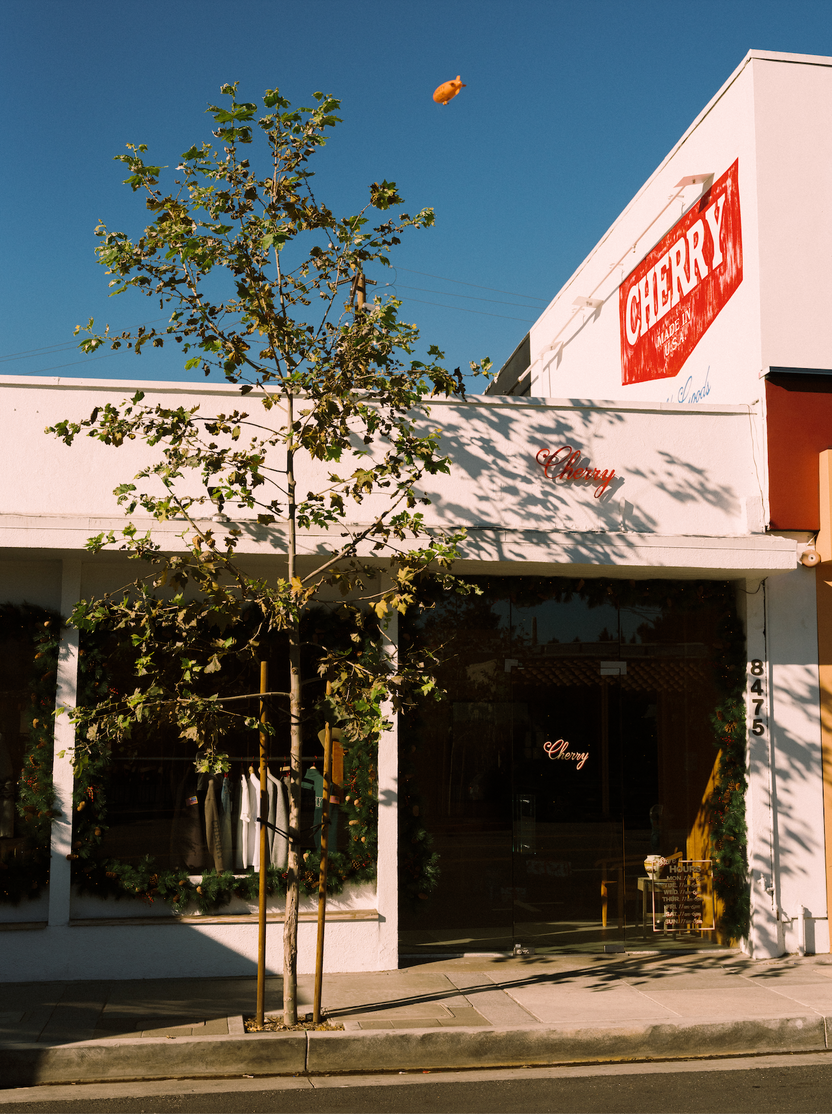 Stores – CHERRY LA